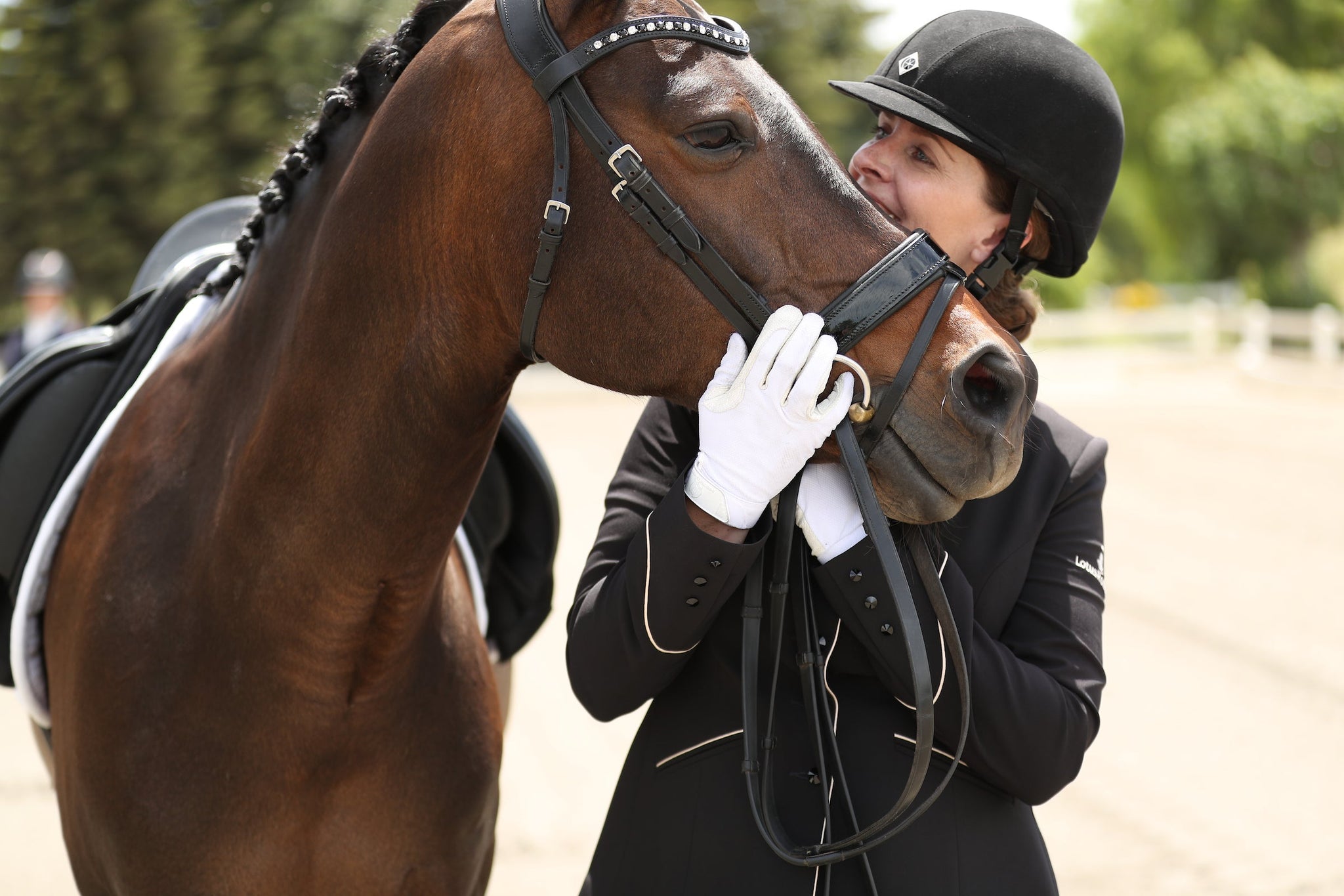 Horse and Pony Tack | The Dressage Pony Store