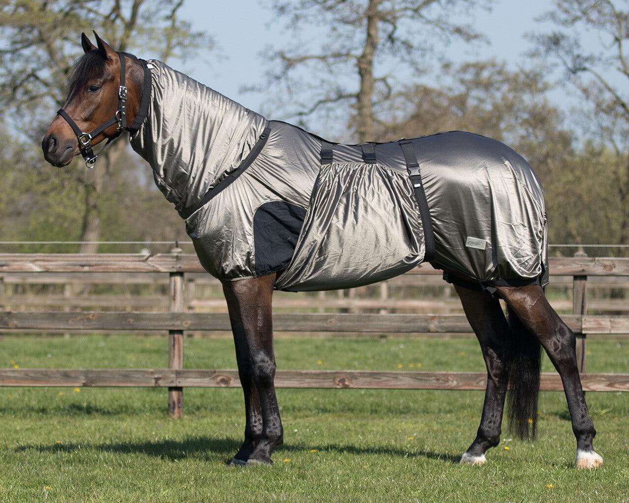 Dressage Sheets | The Dressage Pony Store