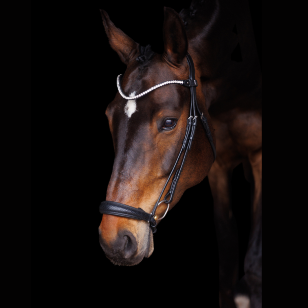SD Design Hauso Drop Noseband Bridle