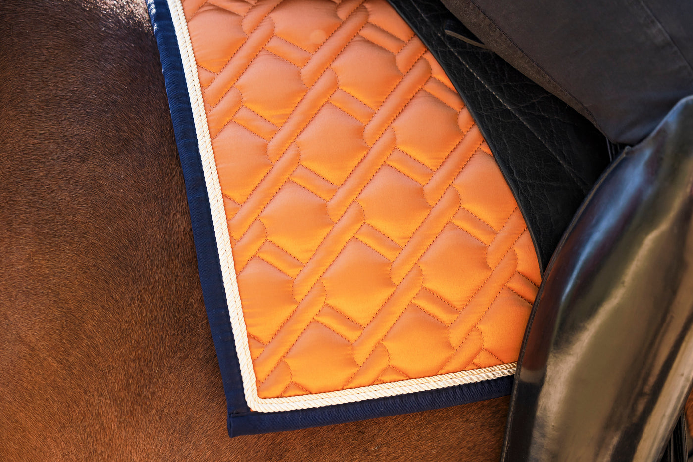 Dressage Tack and Apparel | The Dressage Pony Store