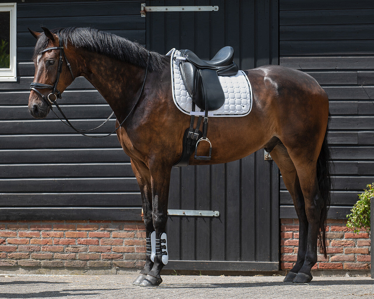 QHP Saddle Pad Denver